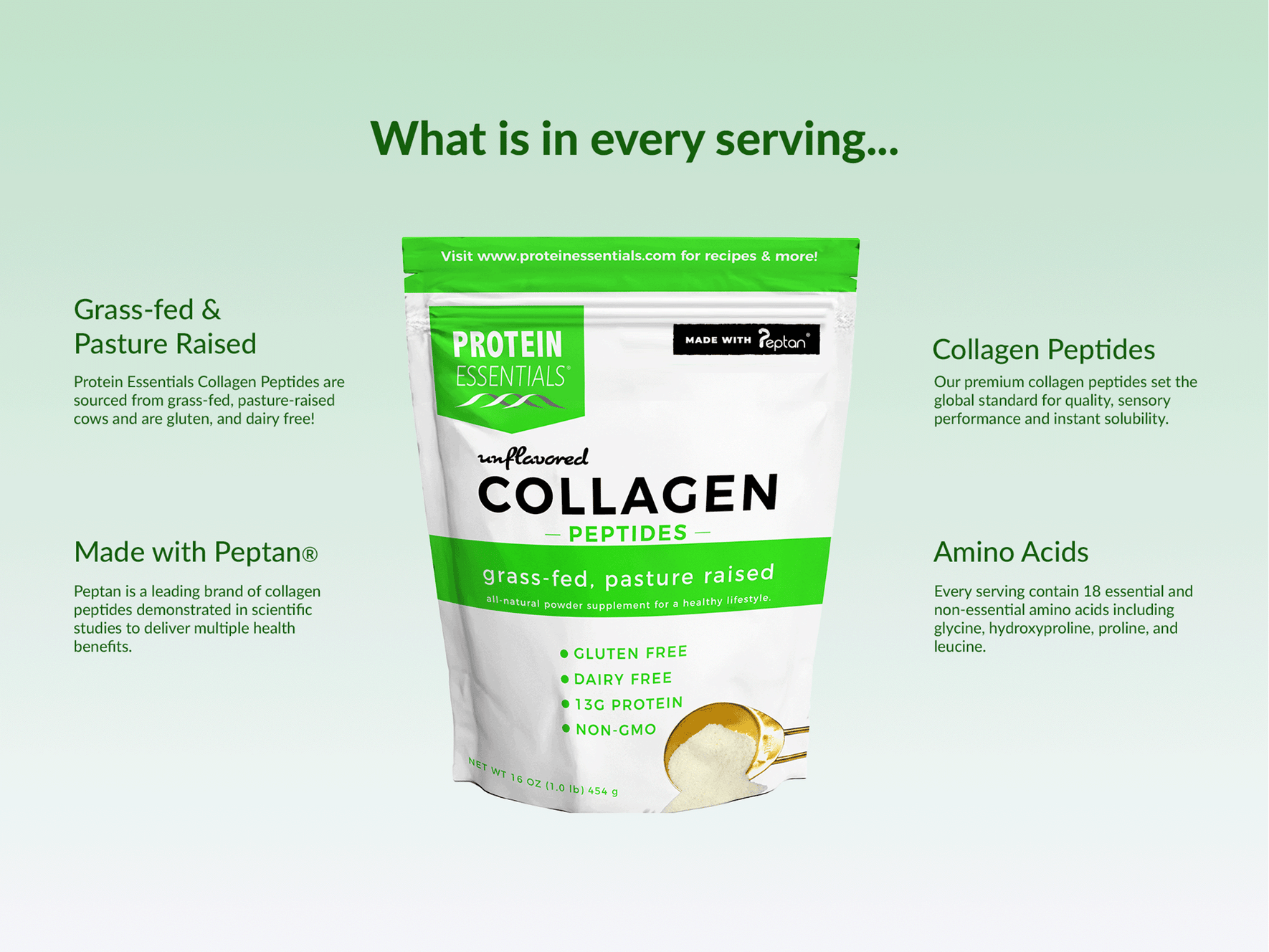 Protein Essentials - Collagen Based Supplements